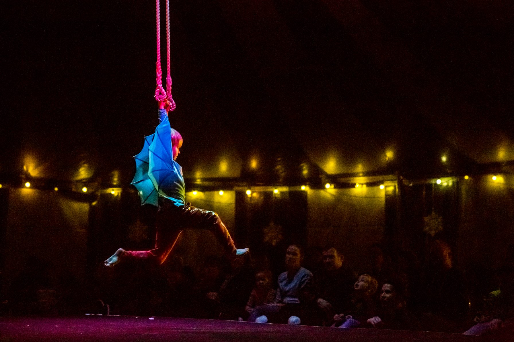 Winter Circus - Tumble Circus