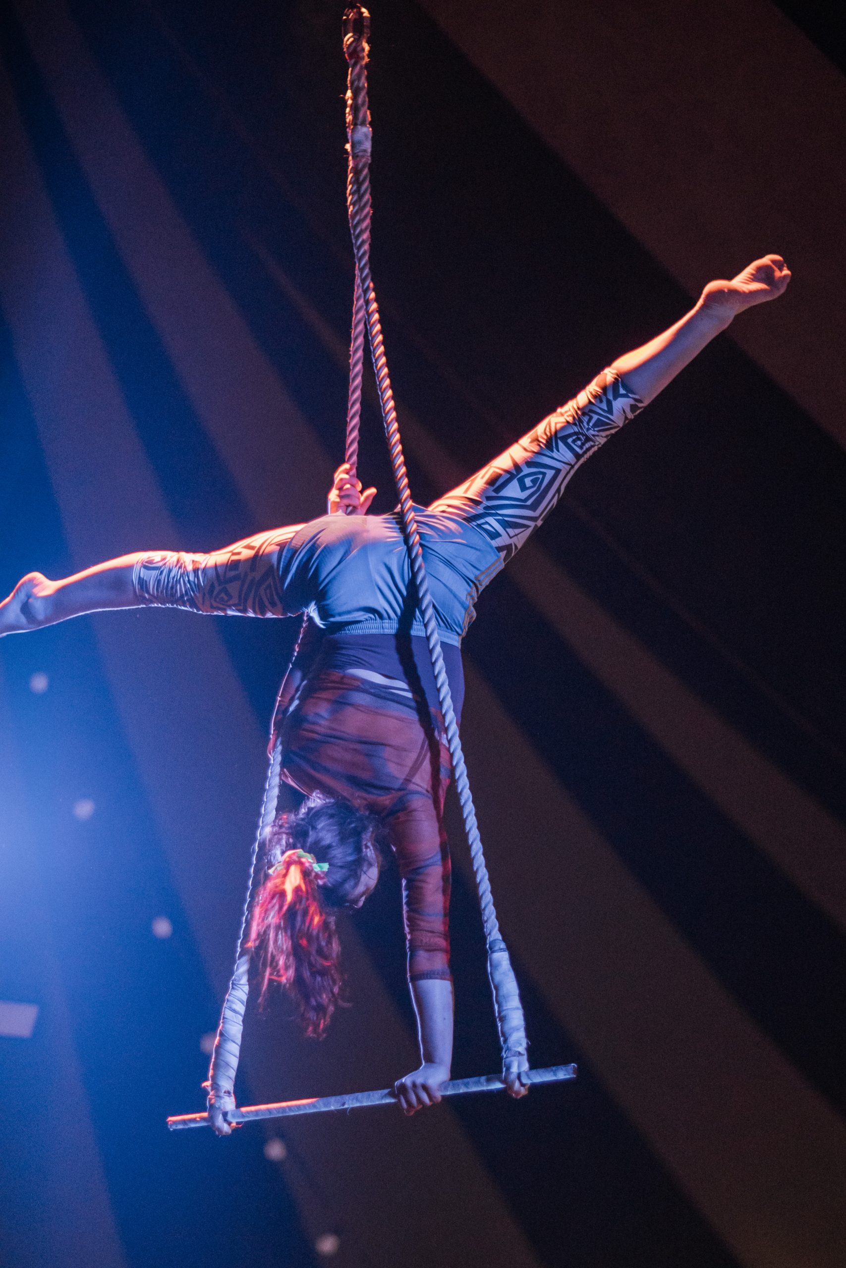 General Manager Job - Tumble Circus